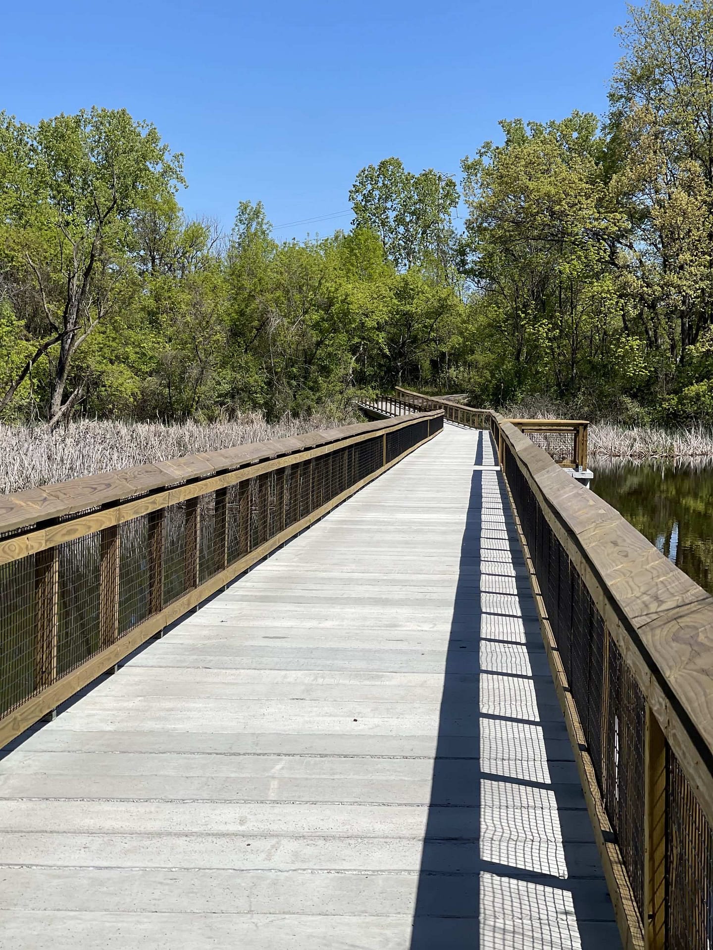 Completed Concrete Boardwalk Projects : TerraTread : TerraTread
