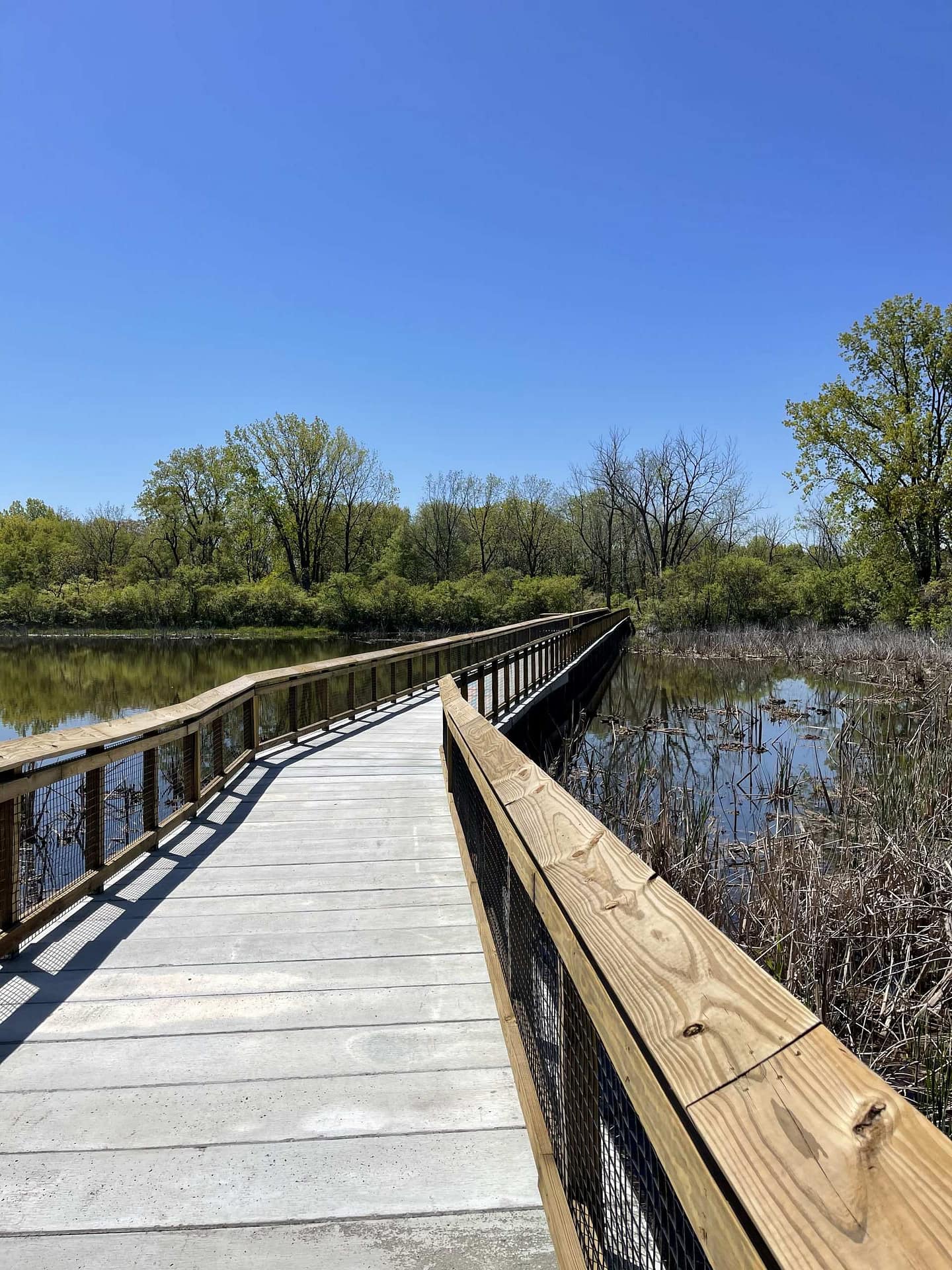 Completed Concrete Boardwalk Projects : TerraTread : TerraTread